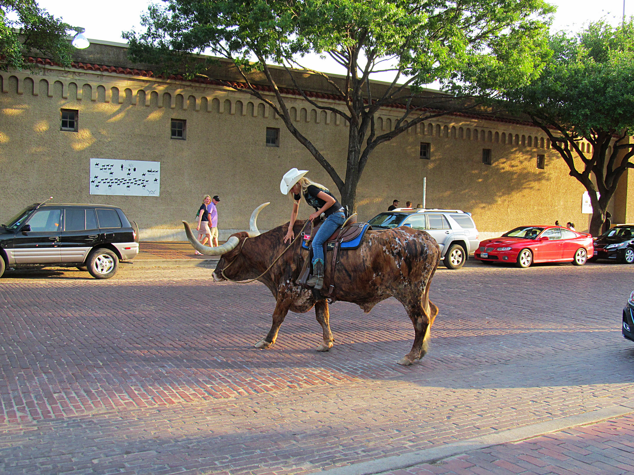 10 Stereotypes About Texas That Are (Pretty Much) False