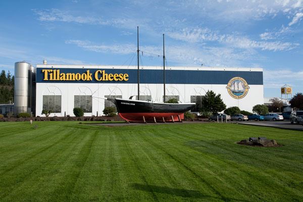 You re Guaranteed To Love A Trip To This Epic Cheese Factory In Oregon you-re-guaranteed-to-love-a-trip-to-this-epic-cheese-factory-in-oregon