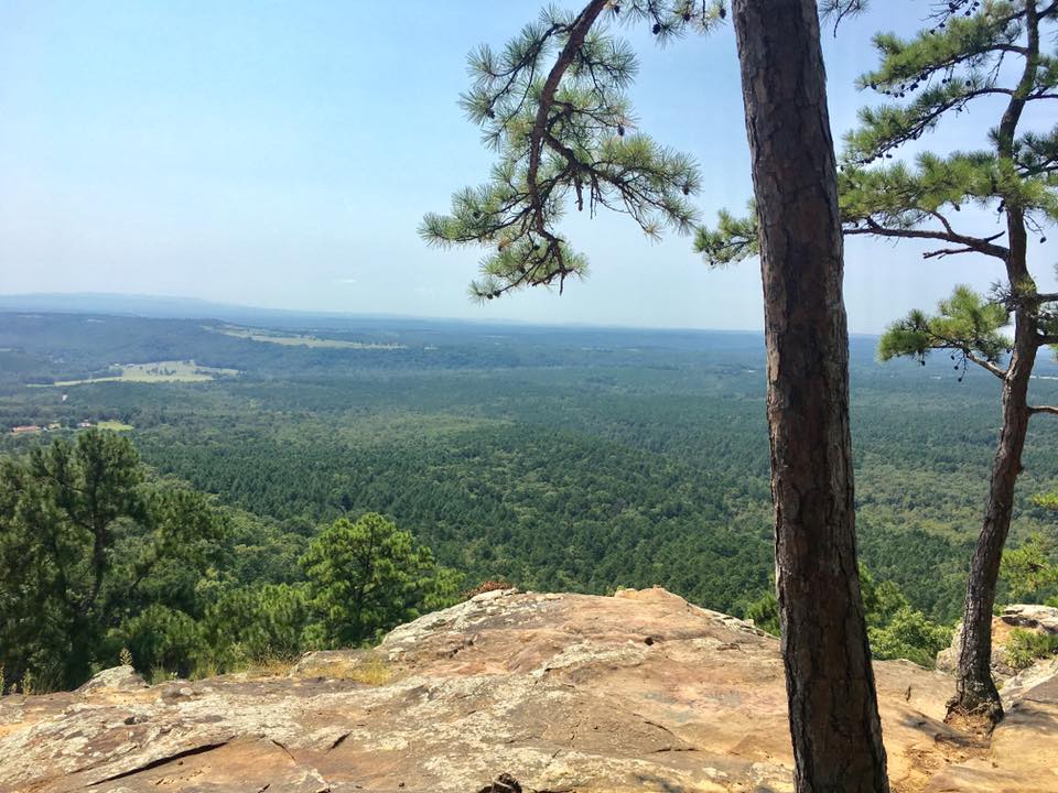 Not Many People Know About The Breathtaking View Of Strawberry Bluff In ...