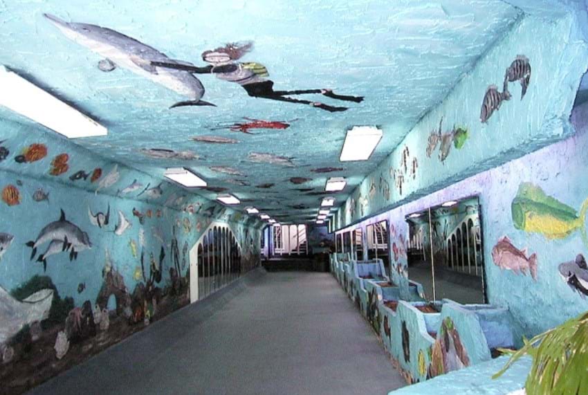 The Unique Tunnel In South Carolina Most People Don t Know About The Unique Tunnel In South Carolina Most People Don t Know About