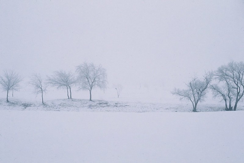 Louis Menu Okc | Paul Smith